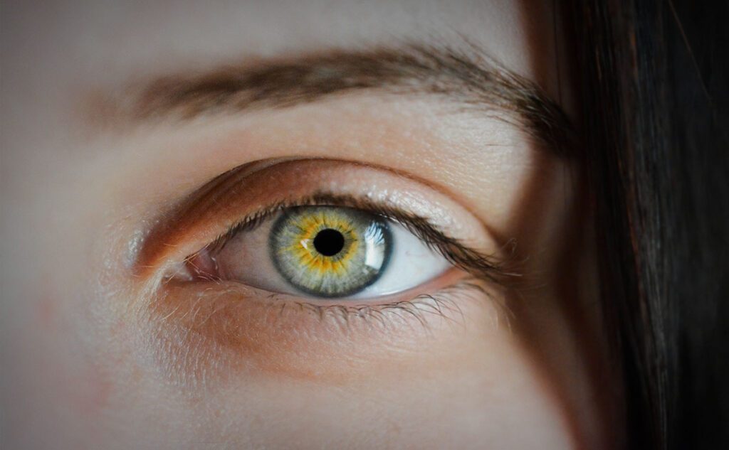 Female References – LOGON