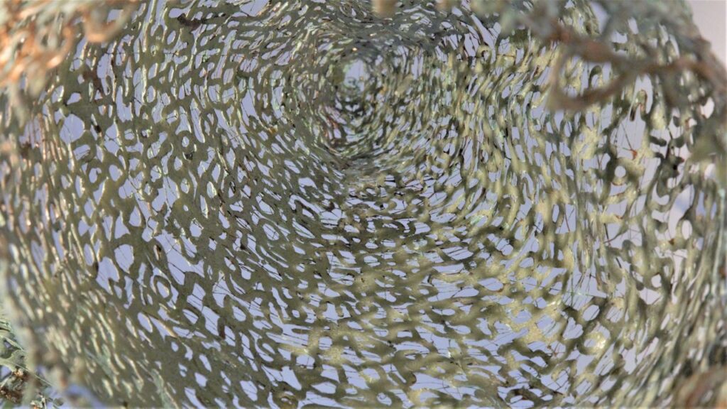 Gnosis Knows No Babel – Part 1 – LOGON